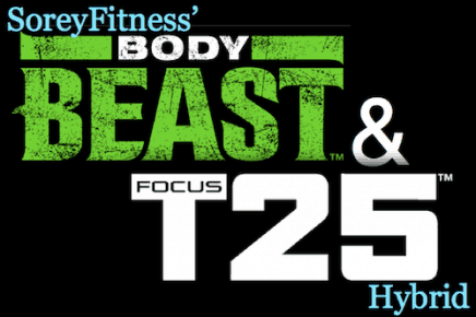 T25 Body Beast Hybrid Workout - 12 Week Workout Routines