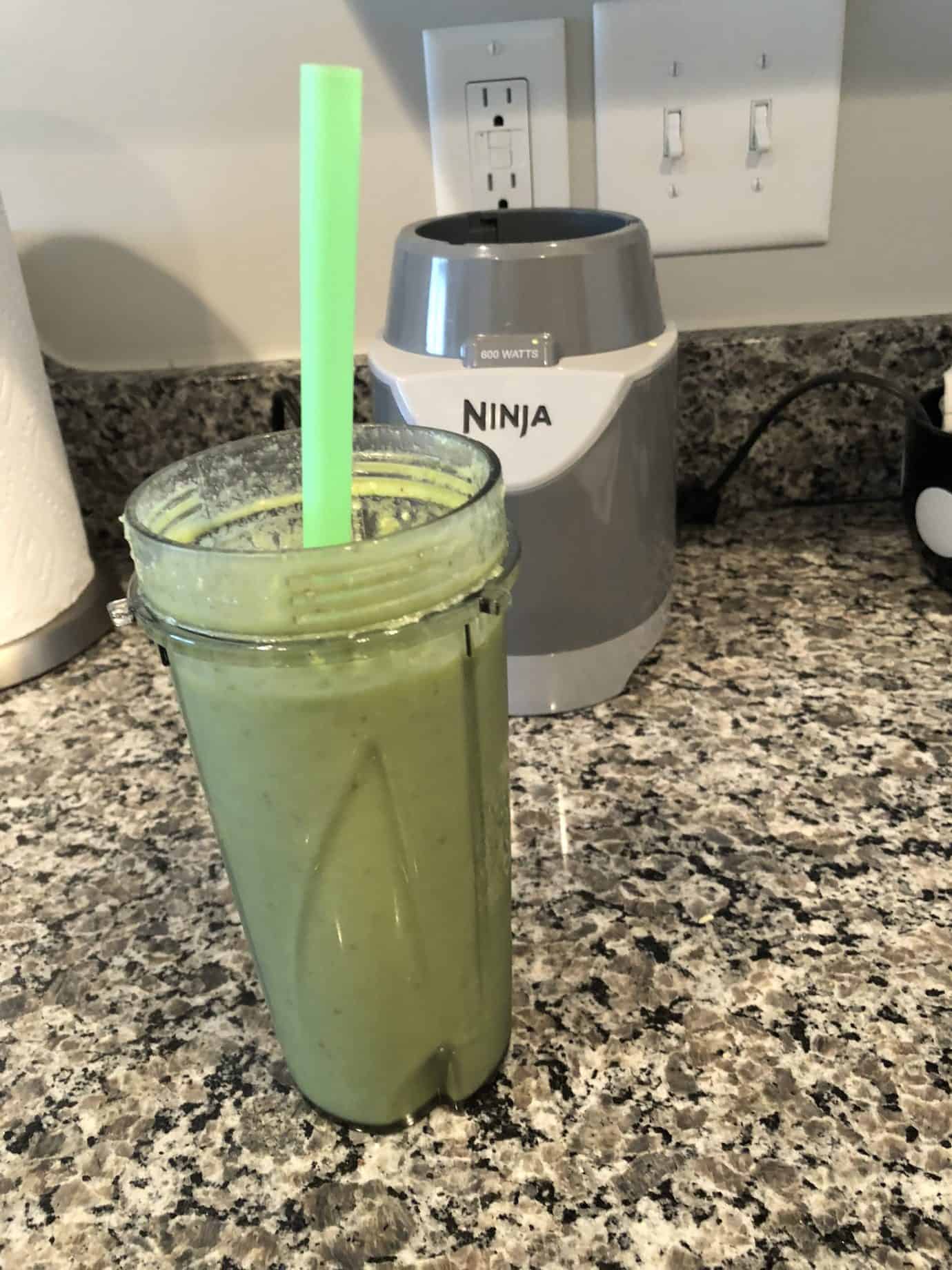 GreenBlender Review | What to Expect: Menu, Recipes & Coupons