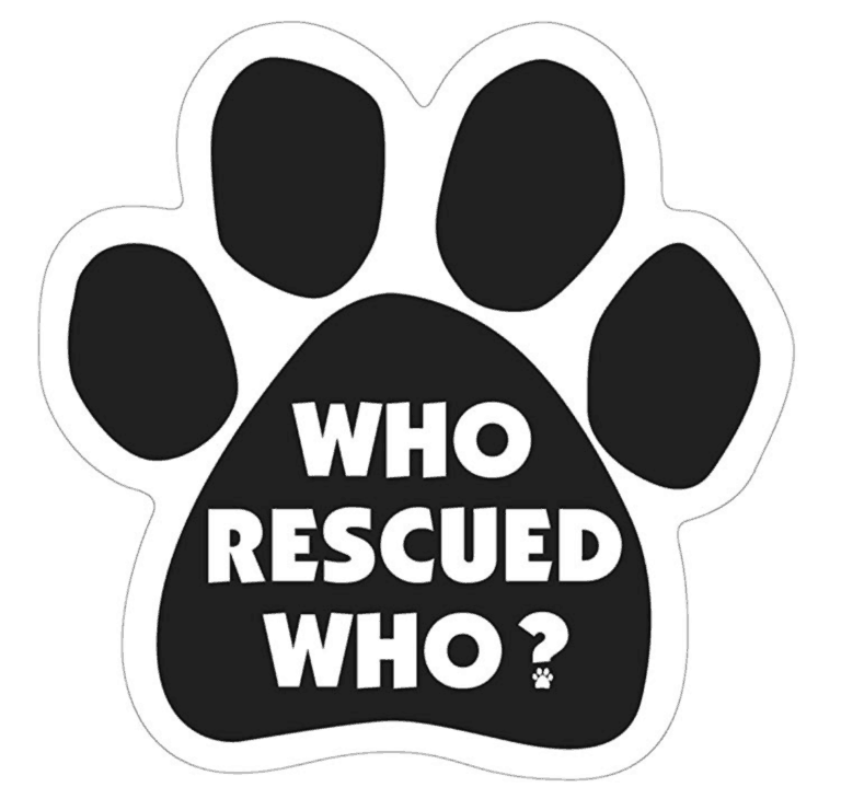 27 Unique Gifts For Dog Lovers On Amazon Most Under 25 27-unique-gifts-for-dog-lovers-on-amazon-most-under-25