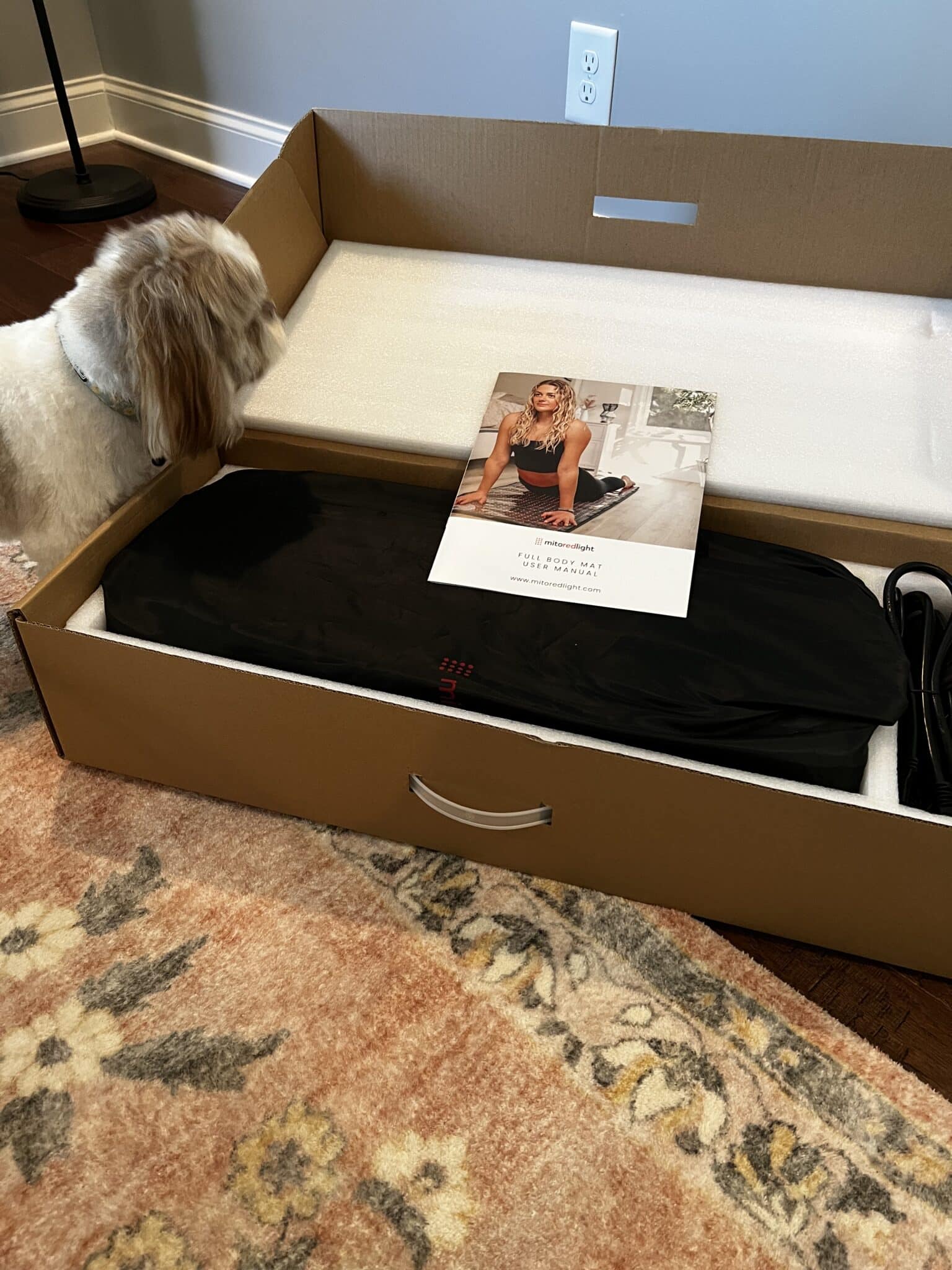 Mito Red Light Review and Benefits (Full Body Mat 2024)