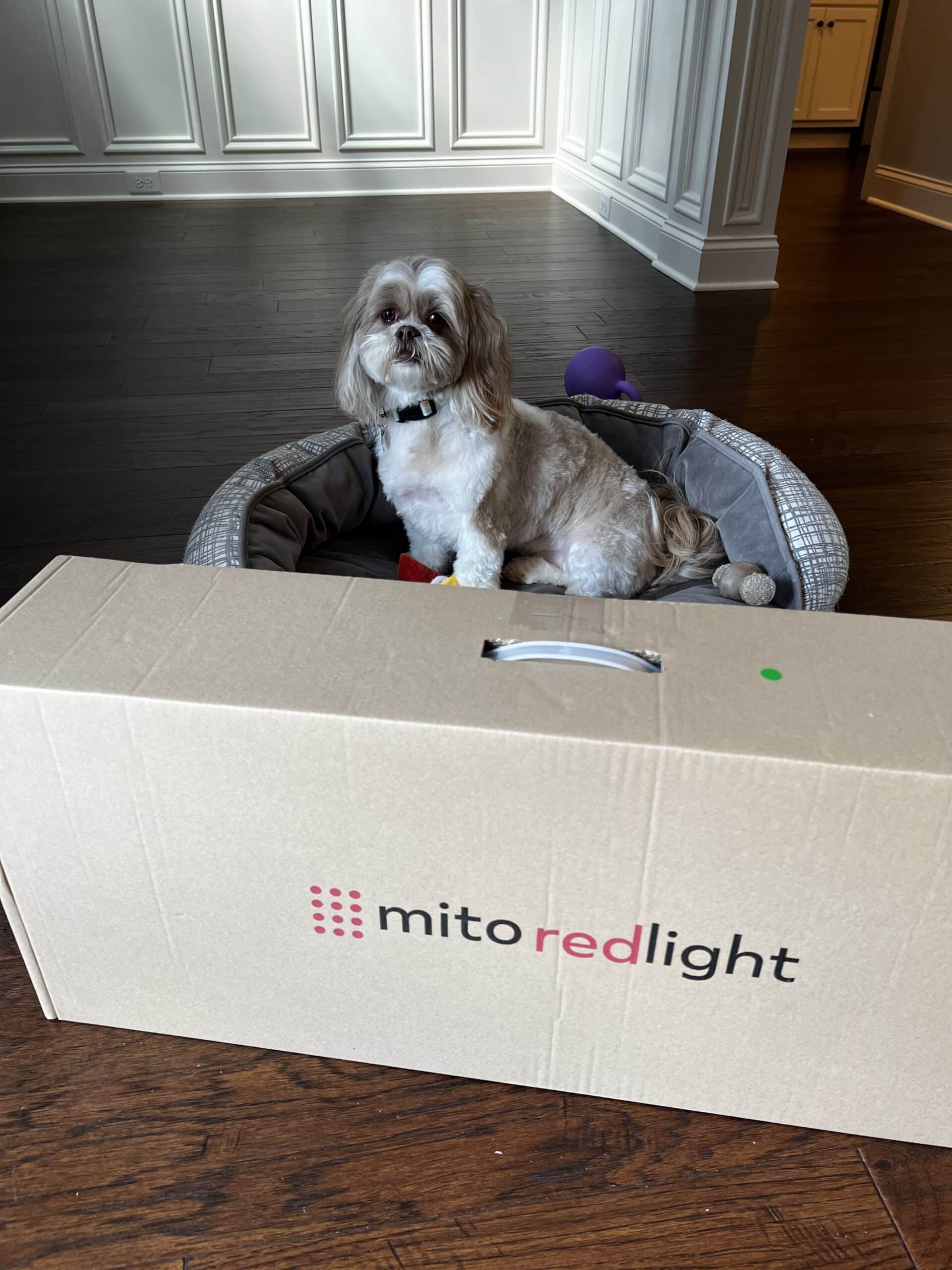 Mito Red Light Review and Benefits (Full Body Mat 2024)