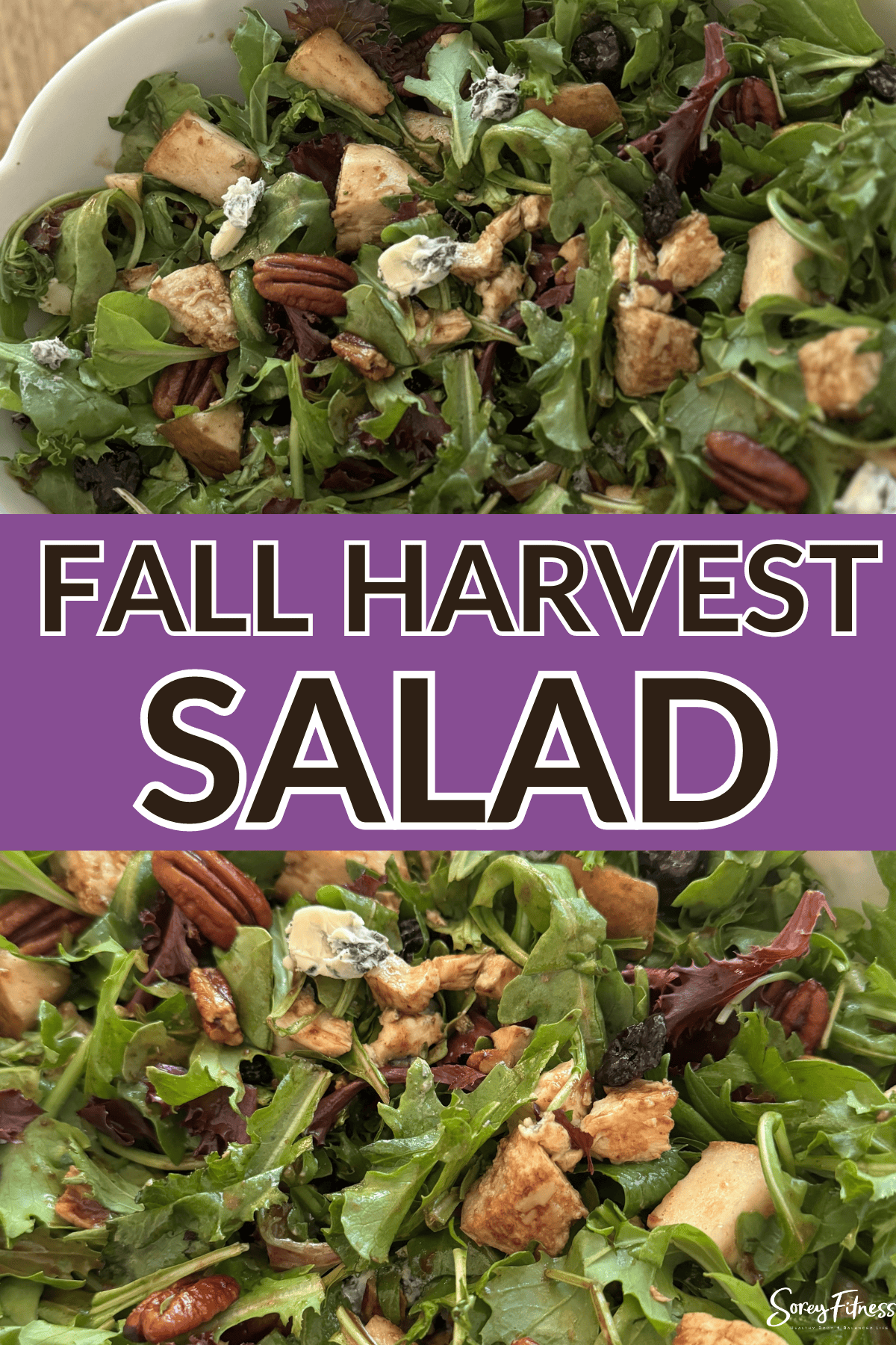 Fall Orchard Harvest Salad (Panera Copycat Recipe)